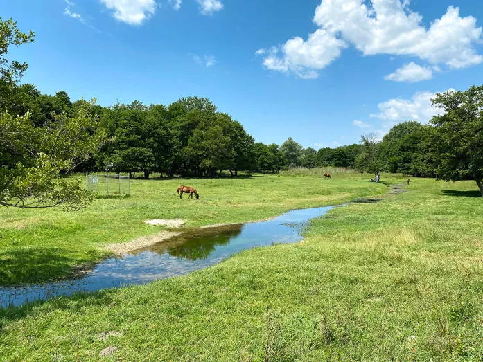 Εντυπωσιακές φωτογραφίες από τις μικρές εποχικές λίμνες του Νέστου | xronos.gr